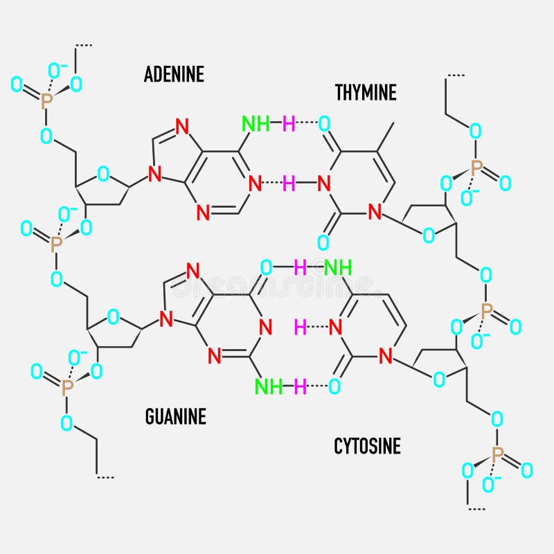 Adenine Molecule With Chemical Formula Stock Illustration ...
