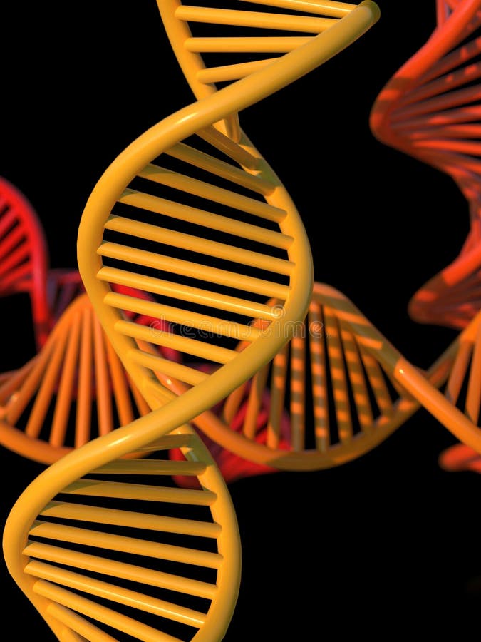 DNA Genetic Molecule Spiral Structure Stock Illustration - Illustration ...