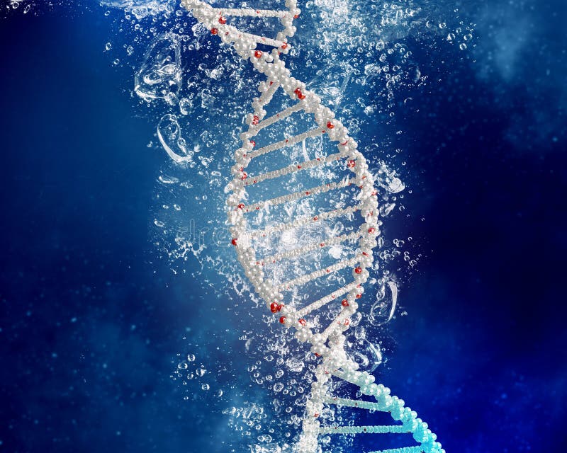 3d Illustration of DNA Molecule Model from Water. Stock Photo - Image ...