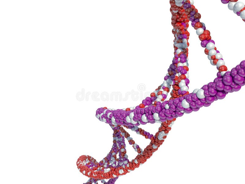 DNA Molecules. 3d Render On White Background Stock Illustration ...