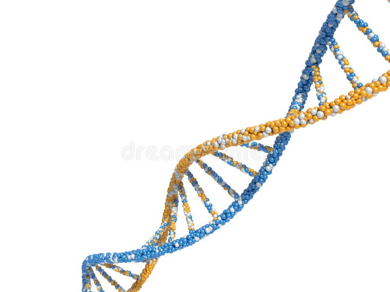 DNA Molecules. 3d Render on White Background Stock Illustration ...