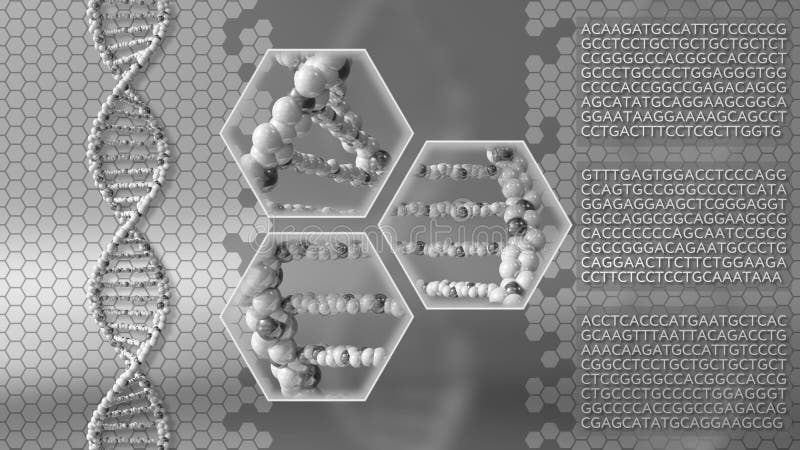 DNA Molecules Gray Motion Background. Genetic Research, Modern Medicine ...