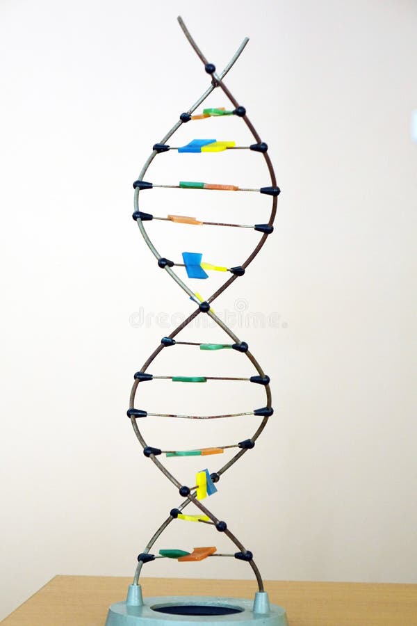 DNA Molecules. Scientific Laboratory. Stock Image - Image of medicine ...