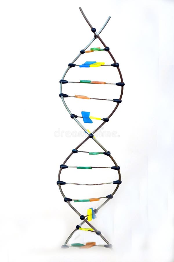 DNA Molecules. Scientific Laboratory. Stock Image - Image of medicine ...