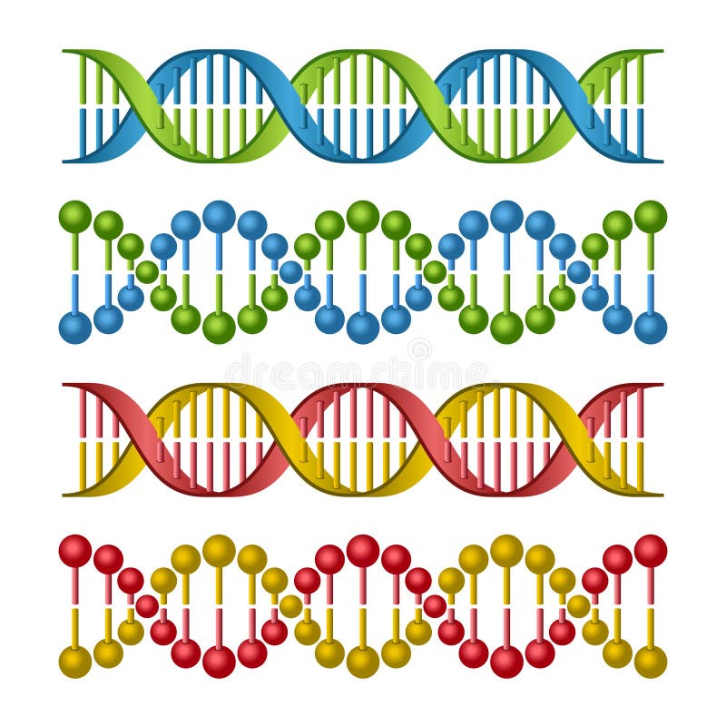 DNA Molecules Set for Science and Medicine Design. Vector Stock Vector ...