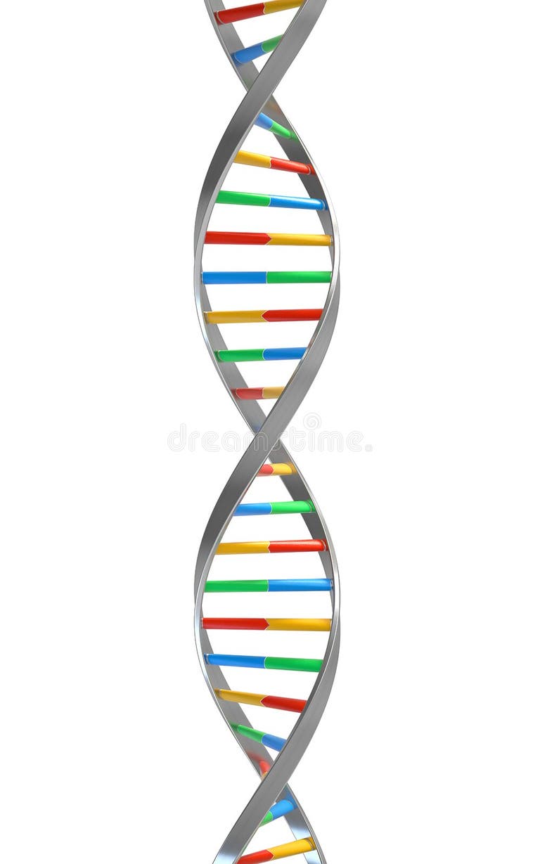 Rna Molecules Stock Illustrations – 973 Rna Molecules Stock ...
