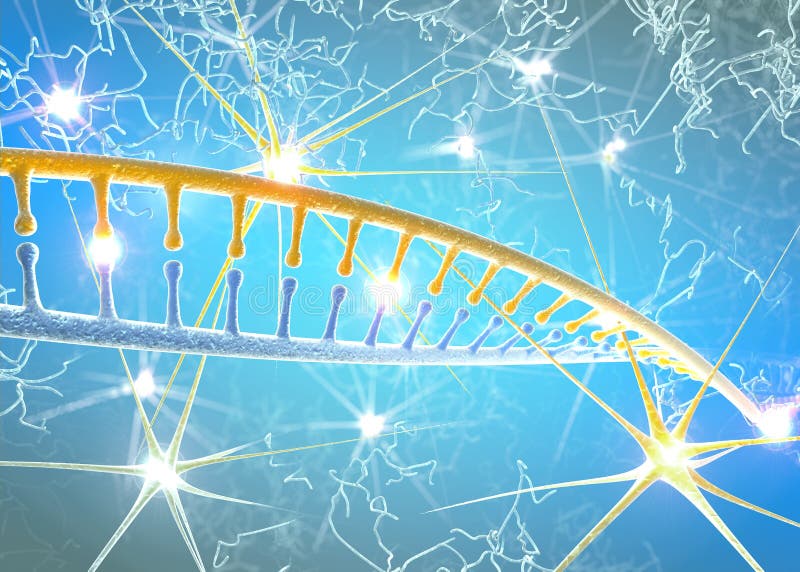 DNA and Neurons, DNA Restructuring, Rewriting and Continuous ...