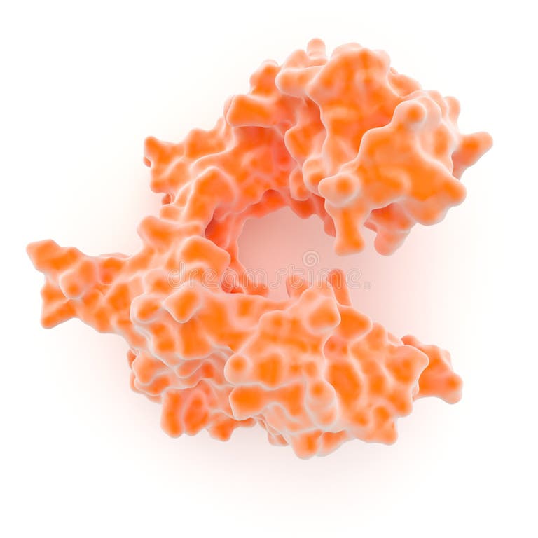 Enzyme Stock Illustrations – 8,279 Enzyme Stock Illustrations, Vectors ...