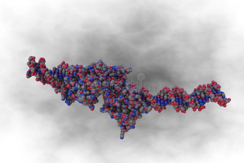 DNA-protein Complex. Space-filling Molecular Model of Interferon ...