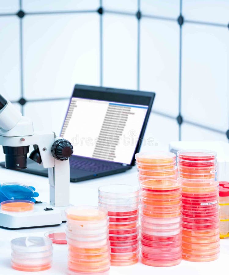 DNA Protein Interaction Studies: Petri Dishes are Used To Study DNA-pr ...