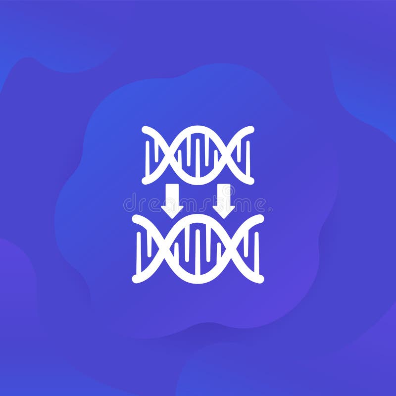 DNA Replication Icon, Genetics Vector Stock Photo - Image of science ...