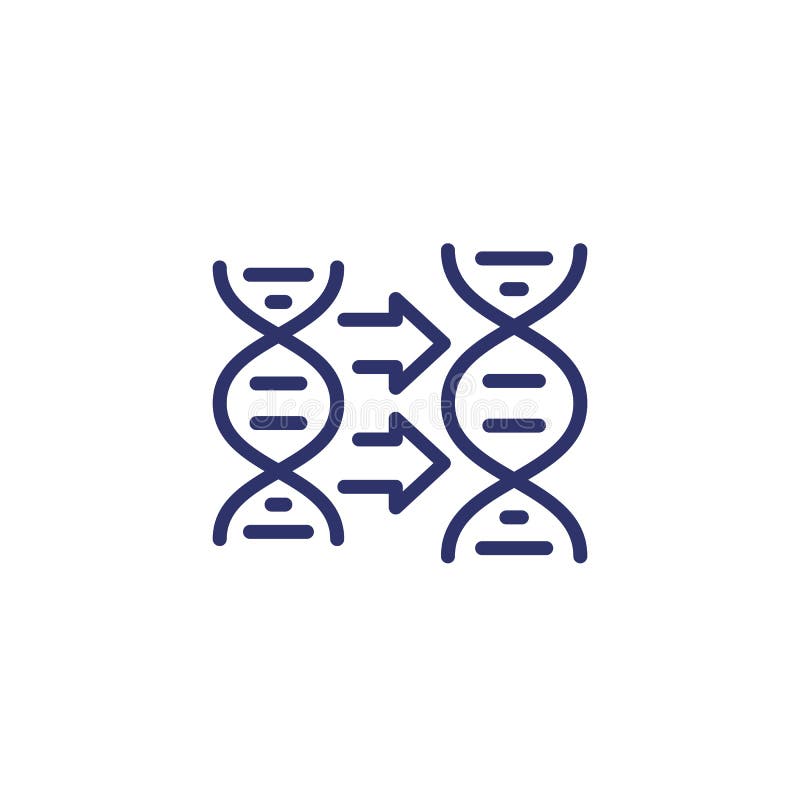 DNA Replication Icon, Line Vector Stock Vector - Illustration of ...