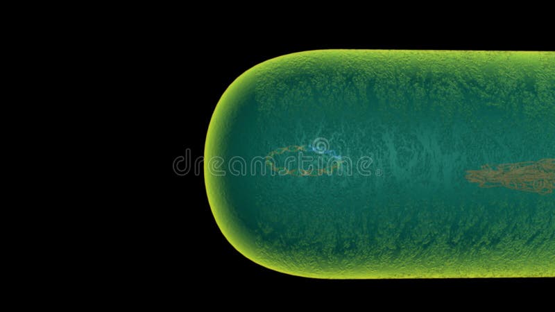 DNA REPLICATION stock video. Video of inheritance, biotechnology - 49909191 DNA REPLICATION stock video. Video of inheritance, biotechnology - 49909191