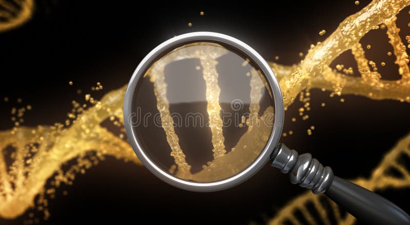 Magnifying Glass Looks at DNA. Stock Illustration - Illustration of ...