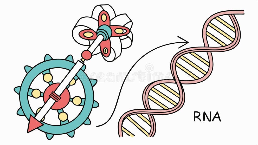DNA RNA Molecules, Genetic Code, Molecular Biology, Science ...