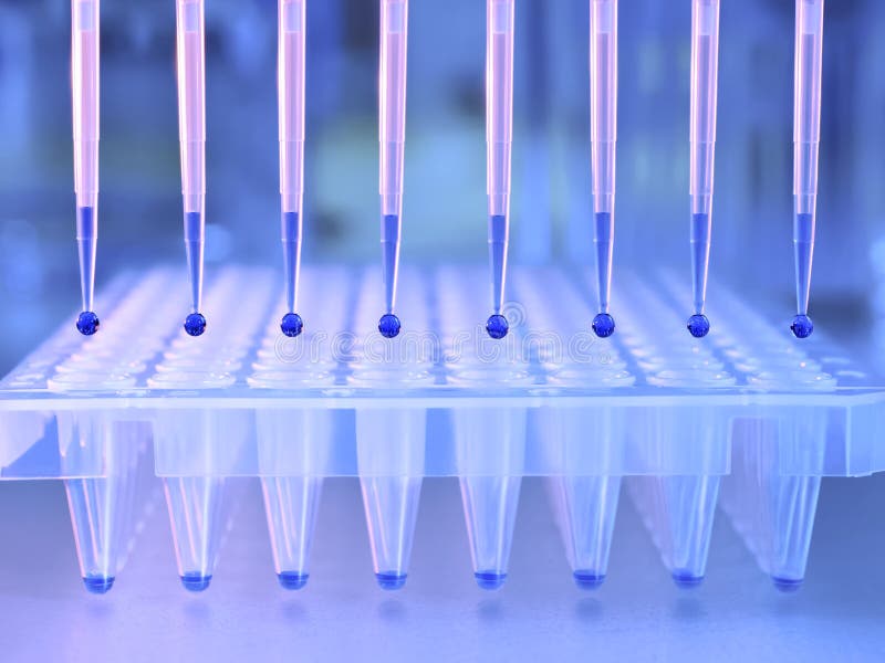 Loading of PCR with Multichannel Pipette Stock Photo - Image of closeup ...