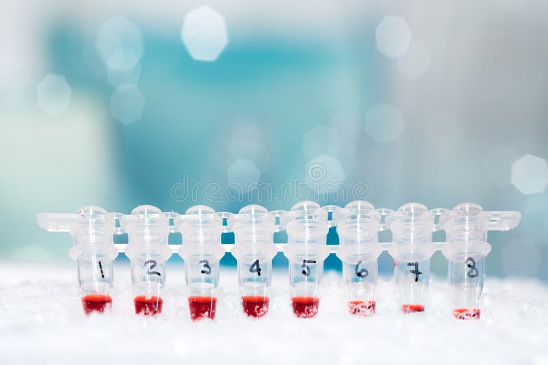 DNA Samples for PCR Amplification Stock Image - Image of copyspace ...
