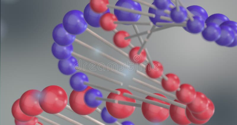 DNA Schematic Representation. Double Helix. Spiral Structure Stock ... DNA Schematic Representation. Double Helix. Spiral Structure Stock ...
