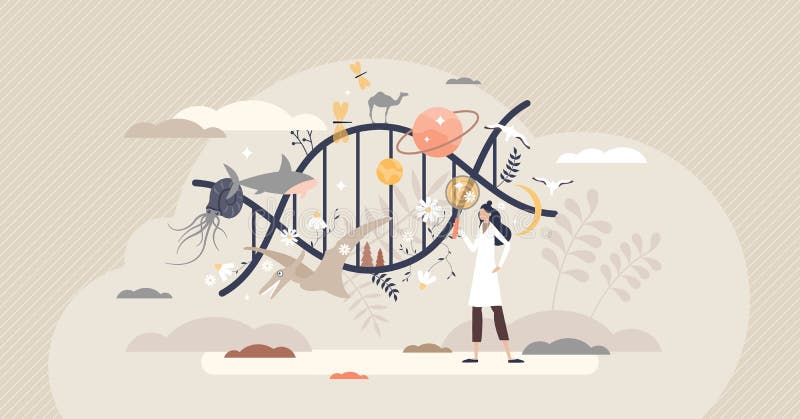 Evolution of Species. DNA - the Molecule of Life Stock Vector ...