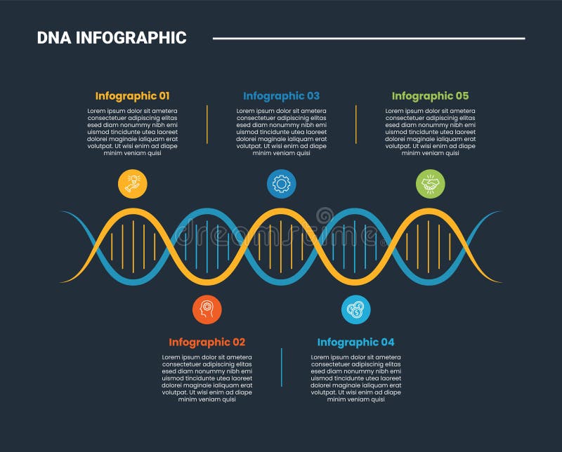 Helix Infographic Process Stock Illustrations – 184 Helix Infographic ...