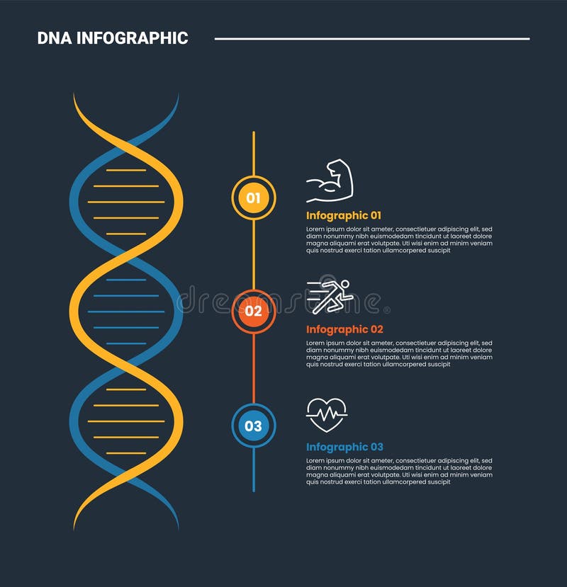 Helix Infographic Process Stock Illustrations – 184 Helix Infographic ...