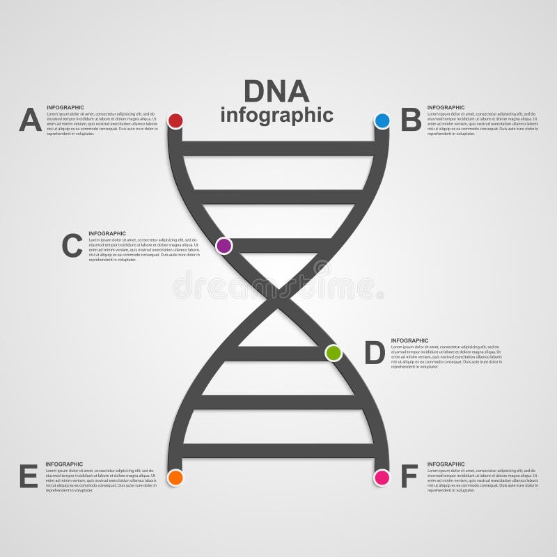 DNA Science Infographics Design Line Style Concept. Stock Vector ...