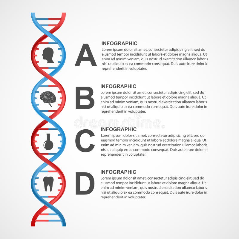 DNA science infographics. stock vector. Illustration of idea - 55310913