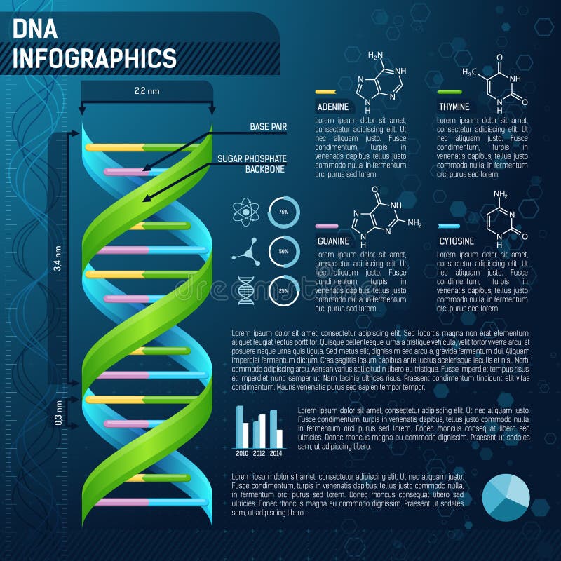DNA for Science Infographics Stock Vector - Illustration of background ...