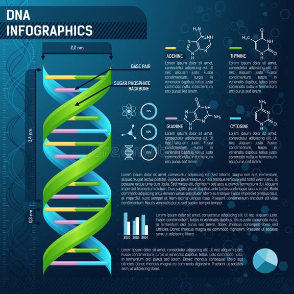 Dna Infographics Stock Illustrations – 2,590 Dna Infographics Stock ...