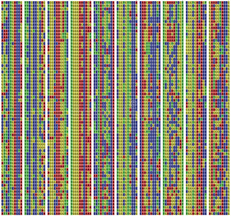 DNA sequence alignment stock illustration. Illustration of acid - 133742766 DNA sequence alignment stock illustration. Illustration of acid - 133742766