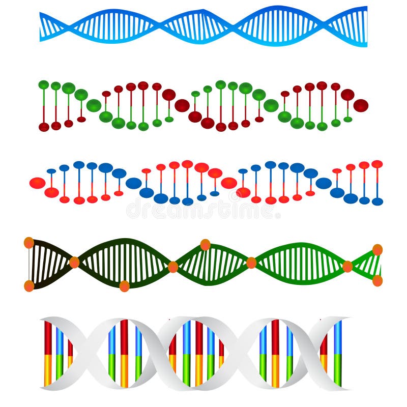 Dna stock vector. Illustration of research, model, medical - 20838039