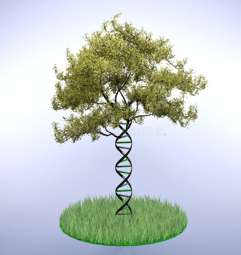Dna shaped tree trunk stock illustration. Illustration of concept ...