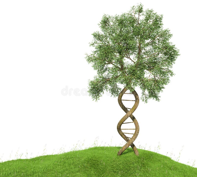 Dna modified tree genetic stock illustration. Illustration of code ...
