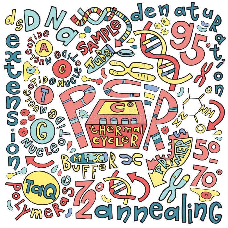 Polymerase Chain Reaction Stock Illustrations – 372 Polymerase Chain ...