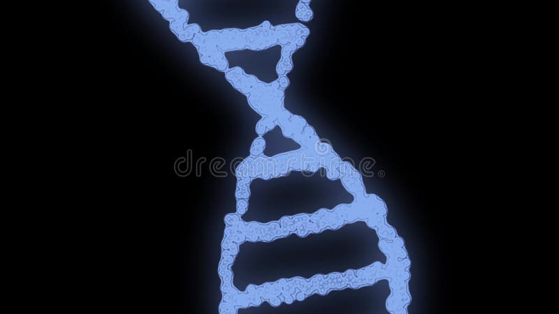 DNA is Spinning. a Piece of Dna Rotates on a Black Background Stock ...