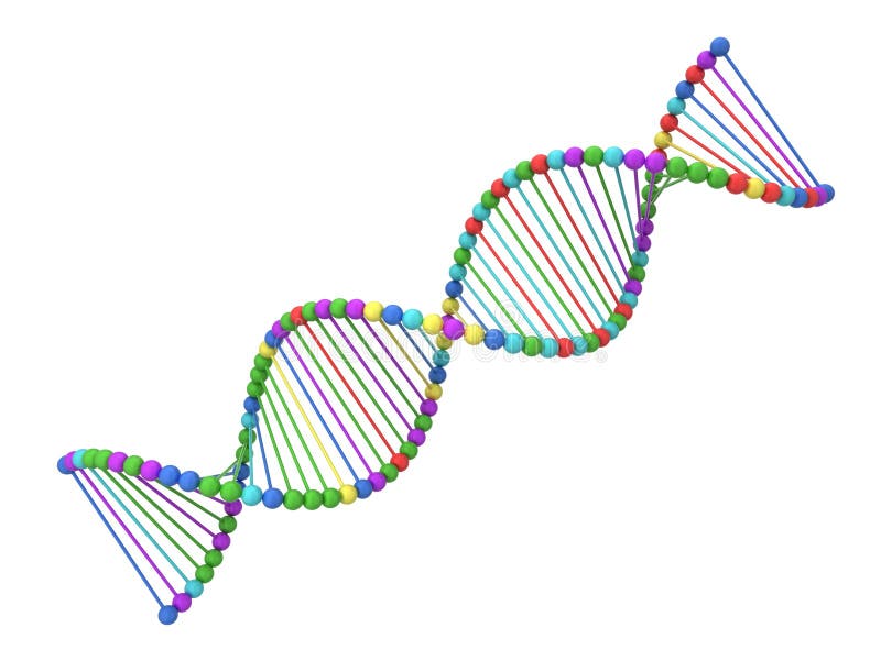 DNA Spiral stock illustration. Illustration of evolution - 13462190
