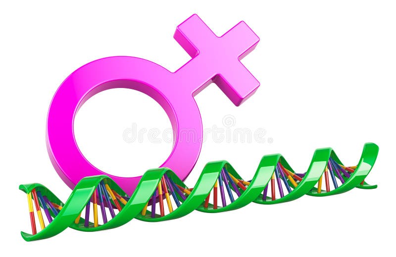 DNA Spiral with Female Gender Symbol. DNA Testing, Concept Stock ...