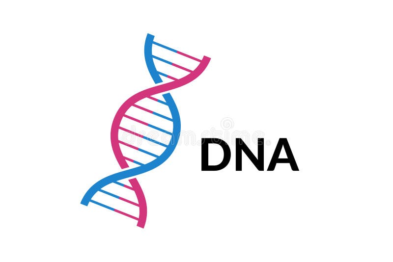 DNA Spiral Isolated. Vector Deoxyribonucleic Acid Gene Part. Modern ...