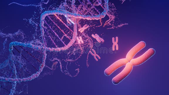 DNA Spiral Structure. DNA Helix Complementary Strand of Sequences ...