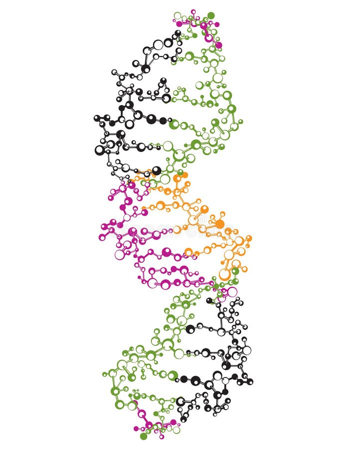 DNA Strand stock illustration. Illustration of genetic - 11938733