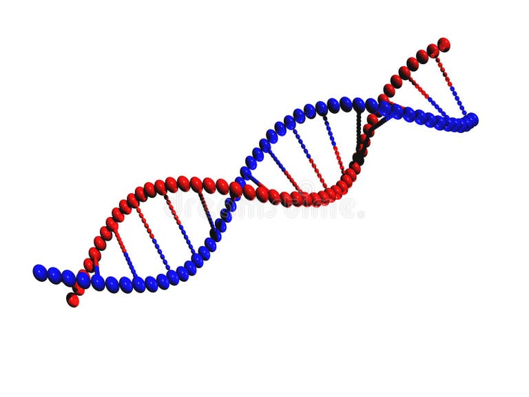 Dimensional Dna Strand Stock Illustrations – 574 Dimensional Dna Strand ...