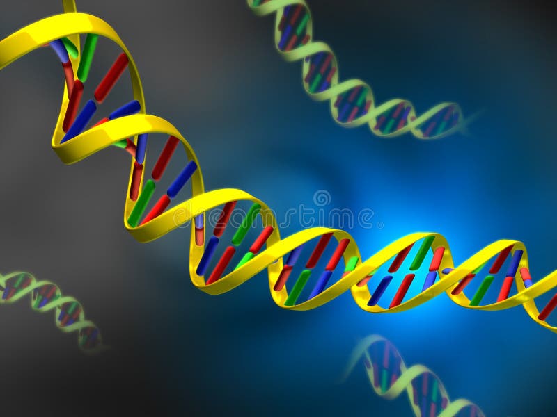 Dna strand stock illustration. Illustration of human, blue - 3647149