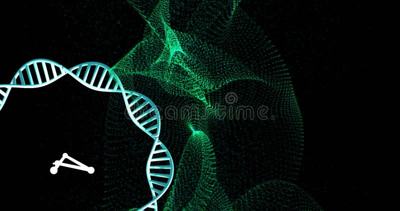 DNA Strand and Abstract Green Digital Waves, Scientific Data Processing ...