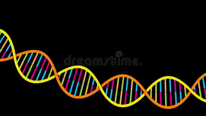 Losing Molar Tooth. 3D Animation of Human Teeth and Dentures Stock ...