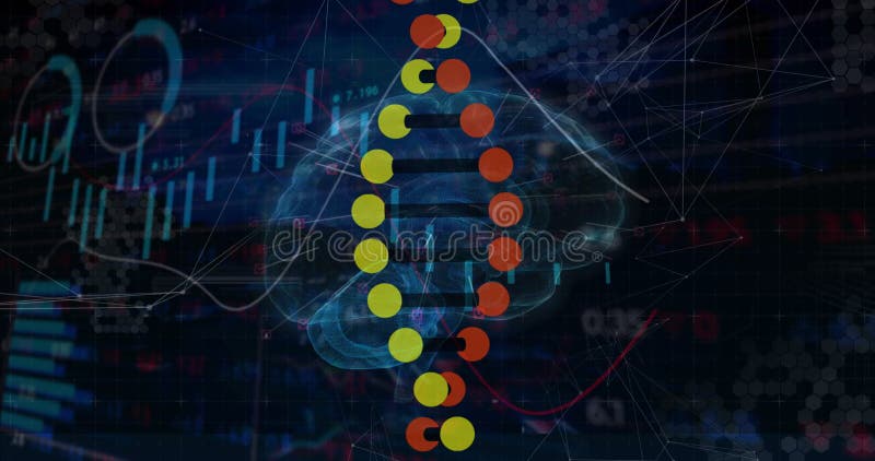 Dna Strand And Binary Code Processing Scientific Data In Animation