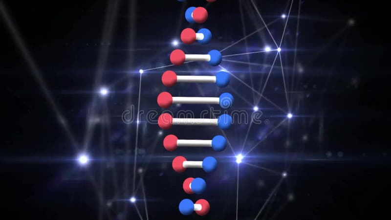Dna Strand And Binary Coding In Scientific Data Processing Animation In