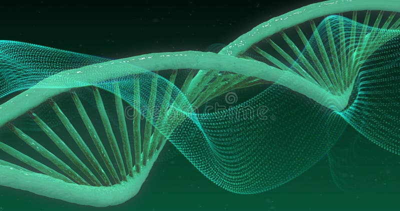 DNA Strand and Binary Coding, Scientific Data Processing Stock Video ...