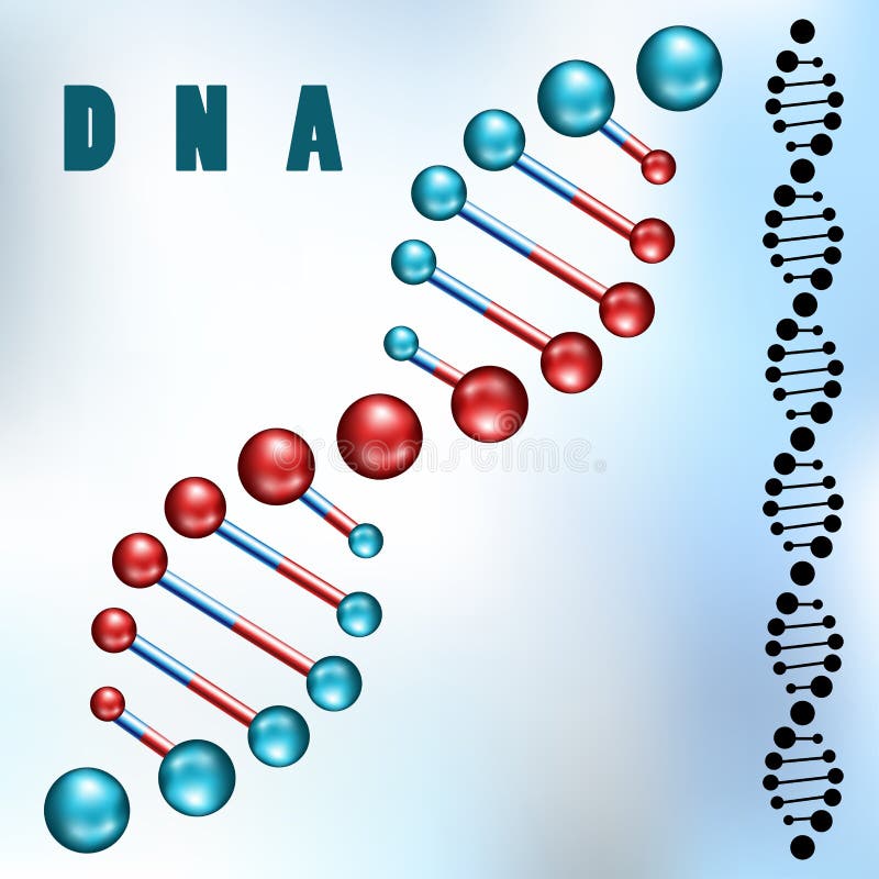 DNA Strands on circle stock vector. Illustration of helix - 11558374