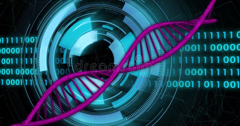 DNA Strand and Digital Interface, Scientific Data Processing Image ...