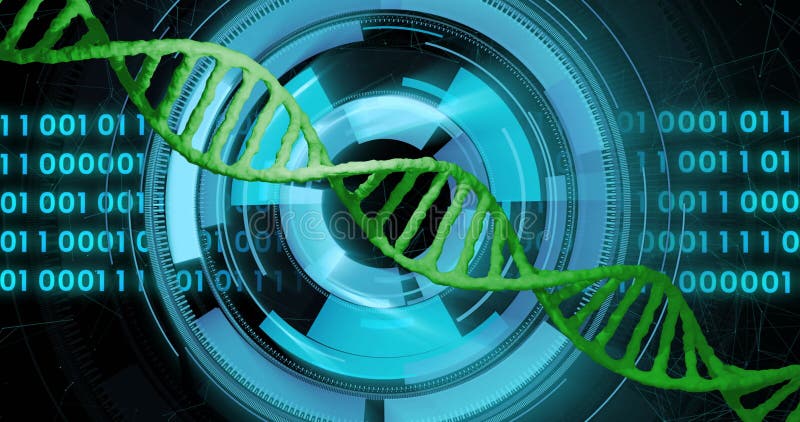DNA Strand and Digital Interface, Scientific Data Processing Image ...